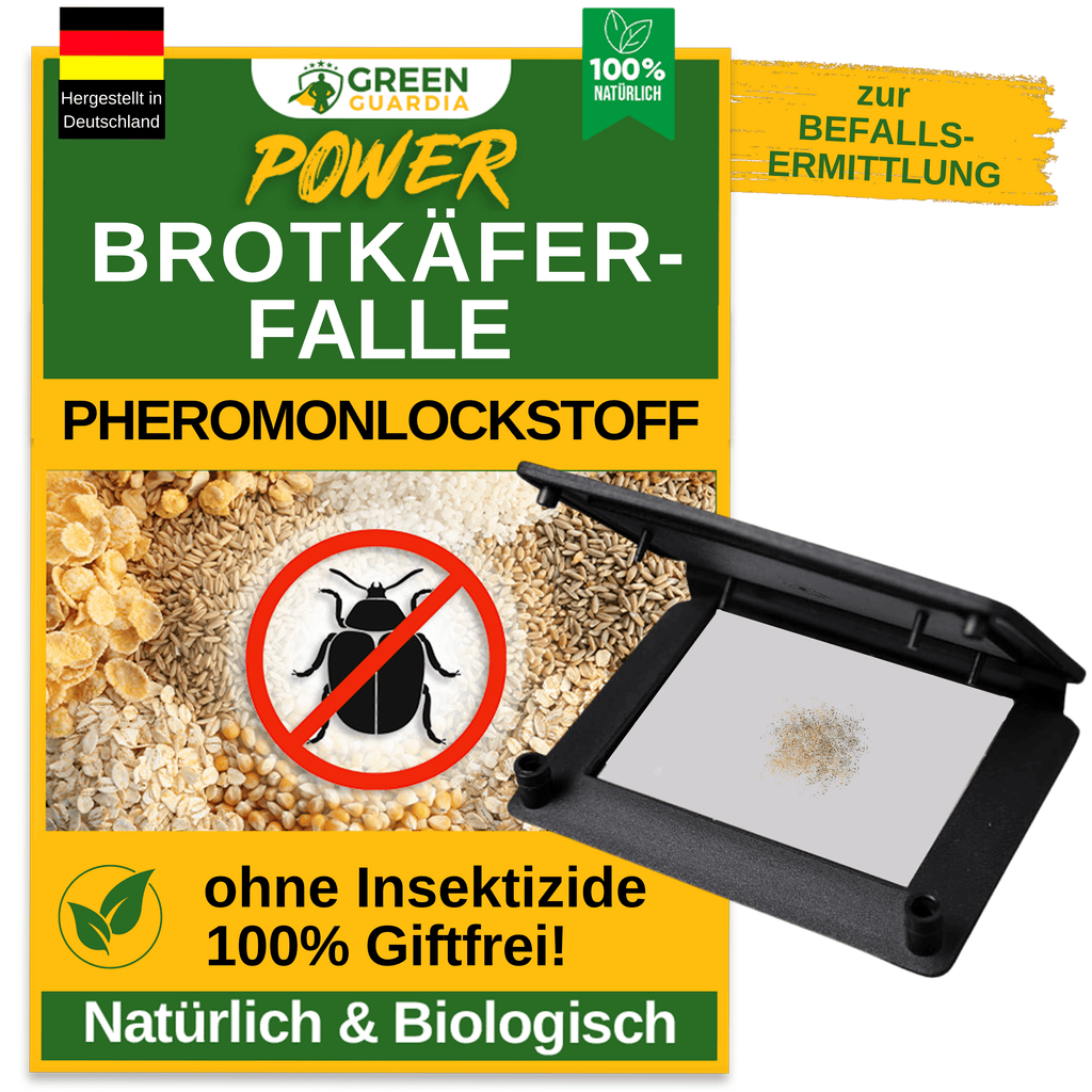 Brotkäfer Falle