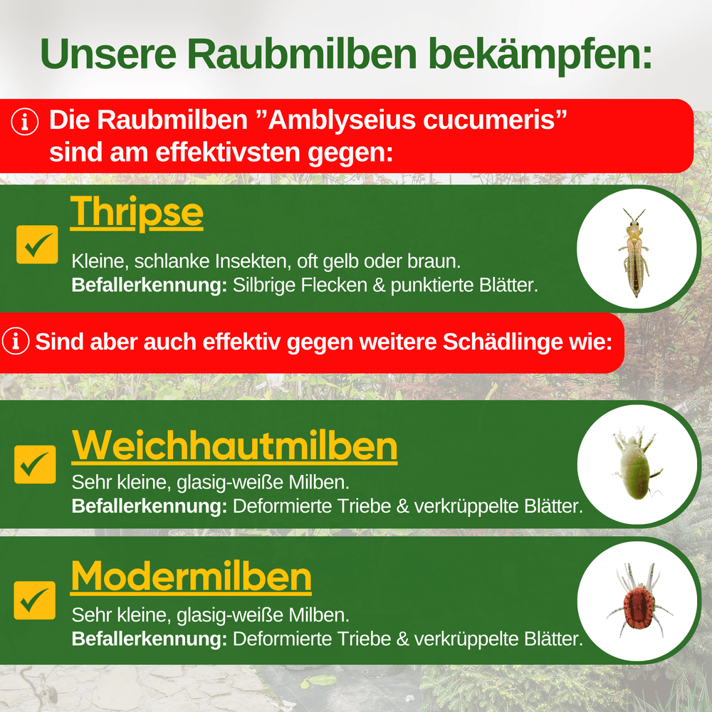 Green Guardia - Ihr Experte für Schädlinge und Pflanzen