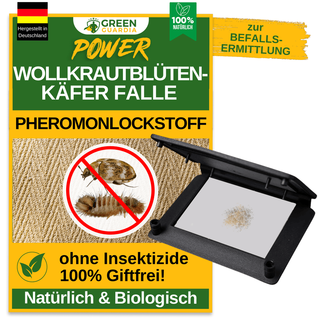 Wollkrautblütenkäfer Falle